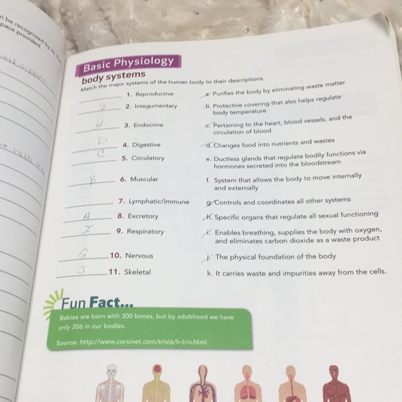 Other | Miladys Standard Nail Technology Workbook | Poshmark